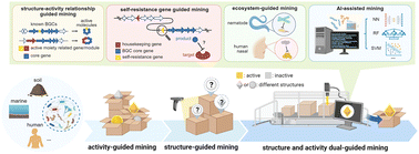 Progress on targeted discovery of microbial natural products based on ...