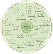 Microbial production of C7–C9 aromatic building blocks for the ...