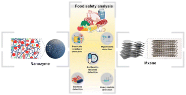 Recent advances in MXene nanozyme-based optical and electrochemical ...