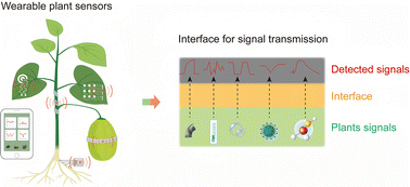 Inspiration of plant-related adhesion for plant wearable sensor ...