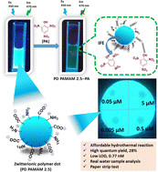 A fluorescent nonconjugated zwitterionic polymer dot: hydrothermal ...