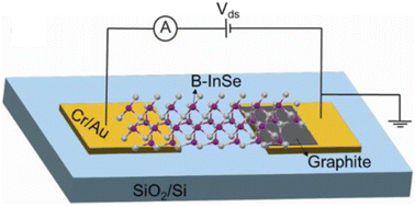 An ultra-high-speed vertically illuminated self-driven lateral asymmetric InSe photodetector ...