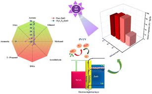 Unveiling superior NH3 sensing performance: ultrafast response and ...