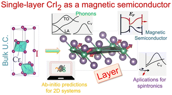 Single-layer CrI2 as a magnetic semiconductor: a detailed first ...