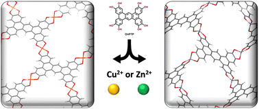 Understanding structure–property relationships in coordination polymers: a comparative study of ...