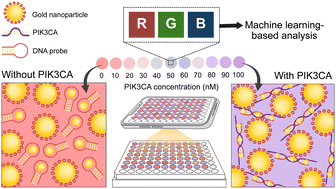 Machine learning-assisted detection of single-point mutations via DNA ...
