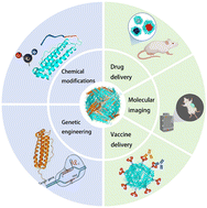 Structural modification strategies for ferritin nanoparticles and their ...