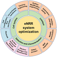 Electrocatalytic nitrogen reduction: mechanisms, system-level ...
