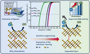 Interfacial engineering and electronic structure modulation of two-dimensional WSe2 towards ...