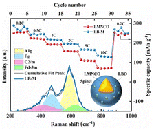 Mn-based Li-rich layered oxides obtained by double-surface modification engineering as high ...