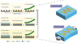 A multilayer template stripping transfer printing method for engineered ...