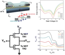 A CMOS-integrable ambipolar tellurene nanofilm-based negative differential transconductance ...