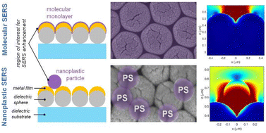 From molecular to nanoplastic SERS detection: insights into the role of ...