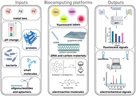 Biocomputing systems based on carbon materials and DNA - Nanoscale (RSC Publishing)