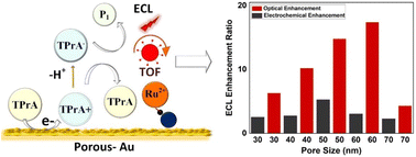 Surface-enhanced electrochemiluminescence with mesoporous gold ...
