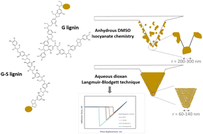 Impact of lignin structuration on its chemical and adhesive properties ...