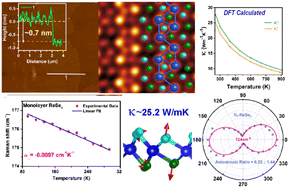 Anisotropic in-plane thermal transport in monolayer ReSe2 and its ...
