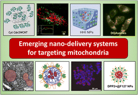 Emerging nano-delivery systems for targeting mitochondria - Nanoscale ...