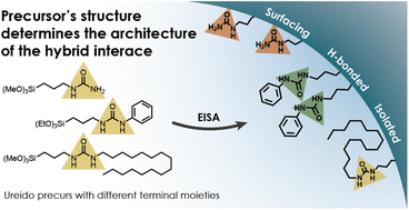 Hydrogen bond driven supramolecular assemblies during hybrid mesoporous ...
