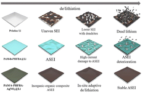 A robust in situ adaptive artificial interface for dead-lithium-free ...