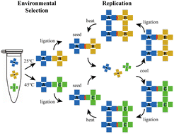 Self-replication of DNA cross-tile patterns from temperature-selected ...