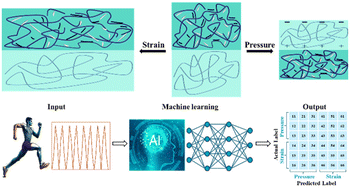 Nano-engineered PEDOT(MXene)/PVDF(HFP) bilayer membranes for dual-mode ...