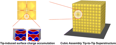 Engineering tip-to-tip cubic assemblies of octahedral nanoparticles for ...