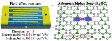 High anisotropic carrier mobility and strong optical absorption in a ...