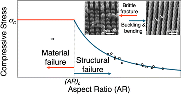 From resilience to scratch resistance: engineering the deformation ...