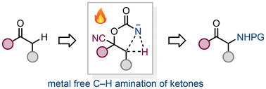 C–H amination of enolizable and nonenolizable ketones - Organic ...