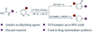 A novel strategy for alkylation via amide activation: synthesis of N ...