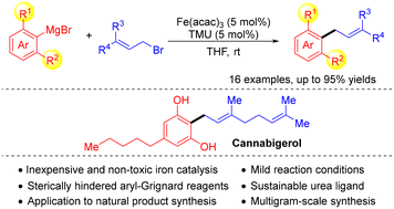 Iron-catalyzed cross-coupling of sterically encumbered aryl Grignard ...