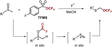 Synthesis of α-trifluoromethoxy-sulfide through the Pummerer ...