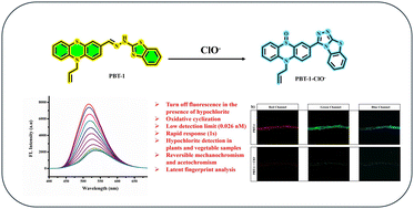 A dual recognition site-based ratiometric fluorescent probe with ...