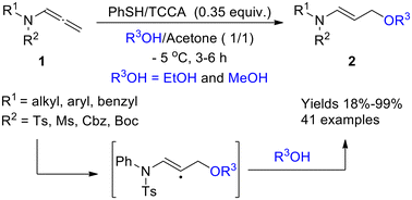 TCCA/PhSH-mediated regioselective hydroethoxylation and ...