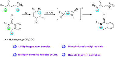 Recent advances in photoinduced amidyl radical-mediated remote C(sp3)–H ...