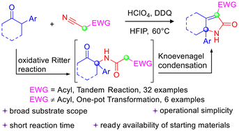 Preparation of α,β,γ,γ-tetrasubstituted α,β-unsaturated γ-lactams via a ...