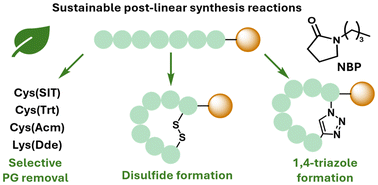 Expanding the scope of sustainable peptide synthesis through post ...