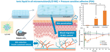 Needle-free transdermal patches for insulin delivery in diabetes ...