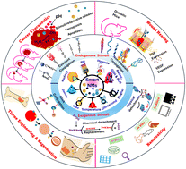 Recent advances in biomedical applications of smart nanomaterials: a ...
