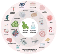 Advanced mechanisms of polymer-based drug delivery systems for clinical ...