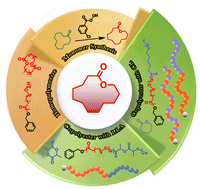 Tunable organo-catalysed ring-opening polymerization of ω-dodecalactone ...