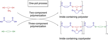 Sustainable one-pot synthesis of imide-containing polyesters with ...
