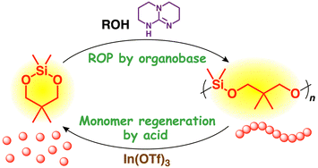 Ring-opening polymerization of six-membered 1,3-dioxa-2 ...