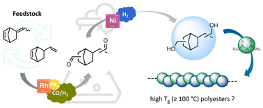 5-Ethylidene-2-norbornene (ENB) and 5-vinyl-2-norbornene (VNB) based ...