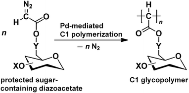 Pd-initiated C1 polymerization of diazoacetates with hydroxy-protected ...