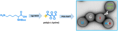 Poly(ε-l-lysine)-decorated particles with a tunable morphology by a ...