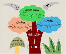 Structure–property relationships in bio-based polyhydroxyurethanes ...