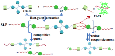 A redox-responsive AIE-active supramolecular polymer constructed by noncovalent and dynamic ...