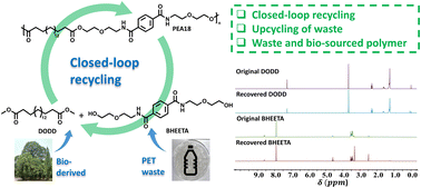 Upcycling of polymer waste to closed-loop recyclable polymers - Polymer ...